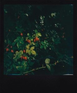 Baofeng UV-5R User Guide | Easy Setup & Programming Tips